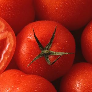Tomato | Viking Pump - Leader in Positive Displacement Pumps